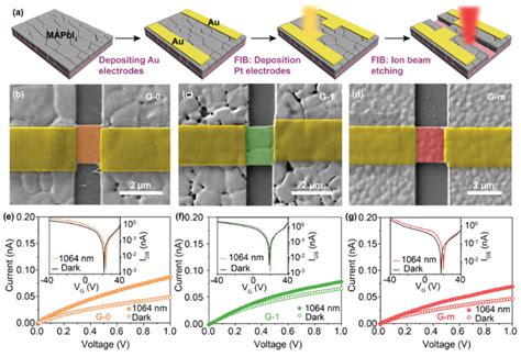 天津大学团队构建新型红外 太赫兹宽谱探测器，极大提高太赫兹探测器的响应性能 知乎