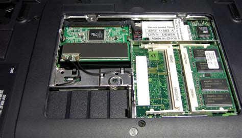 Cutgulf Blog Cutgulf Blog