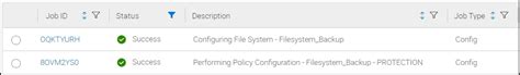 File System Protection Policy Dell PowerProtect Data Manager File System Backup And Recovery