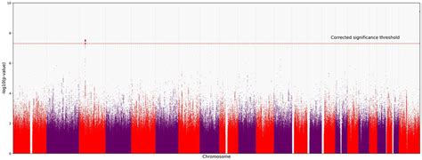 Manhattan Plot For The Locus On Chromosome 3 Chromosome Download