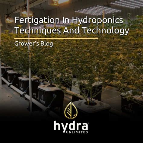 Hydra Unlimited Fertigation In Hydroponics Techniques And Technology Hydra Unlimited