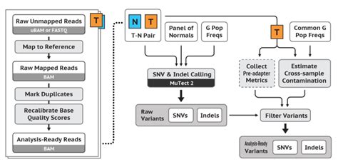 科学网— 转载 经验分享gatk4 Mutect2与 Gatk3 Mutect2的应用区别 马云龙的博文
