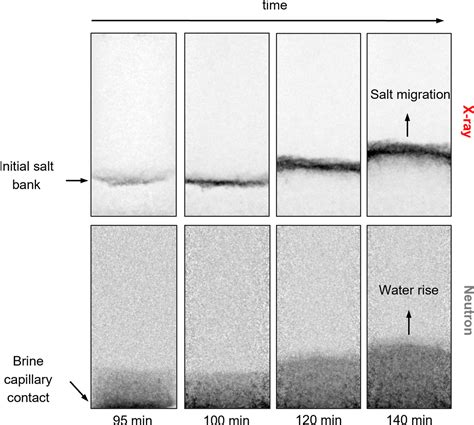 Investigation Of Salt Precipitation Dynamic In Porous Media By X Ray And Neutron Dual Modality