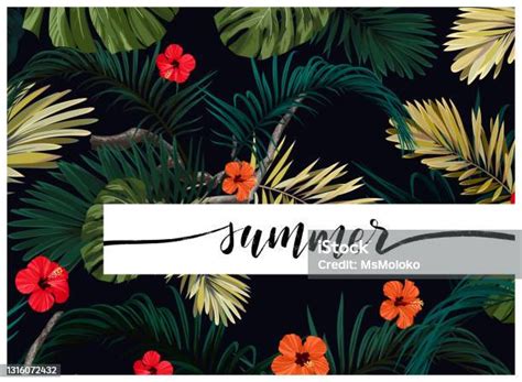 이국적인 몬스터와 로얄 야자수 잎과 붉은 히비스커스 꽃어두운 열대 디자인 벡터 그림입니다 0명에 대한 스톡 벡터 아트 및 기타 이미지 Istock