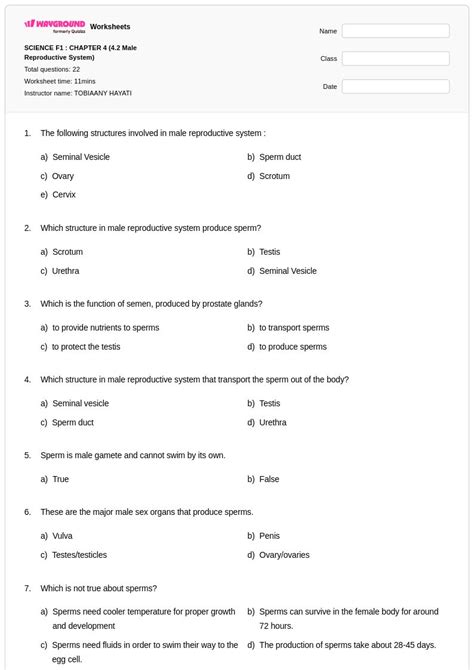 50 Male Reproductive System Worksheets For Class 10 On Wayground