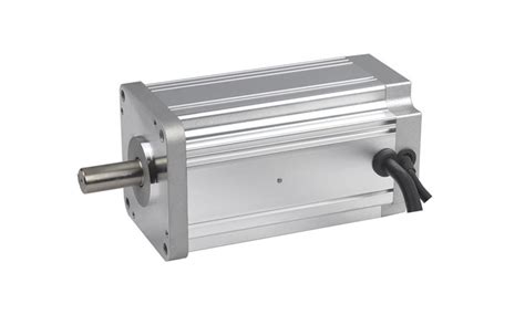 China Customized 48vdc 750w 3000rpm Permanent Magnet Brushless Dc Motor