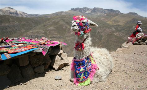 Qué Es La Pachamama Y Cómo Se Celebra Su Día Infobae