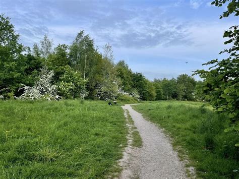 H2o Flowtech Ltd Posted On Linkedin