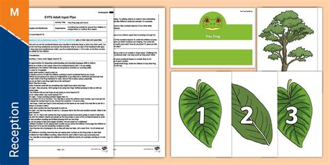 Eyfs Tree Frog Leap And Count Adult Input Plan Resource Pack