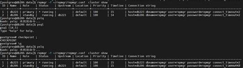 Repmgr无法自动故障转移 Csdn博客