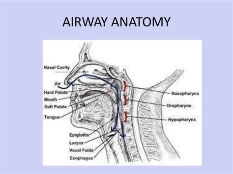 Difficult Airway