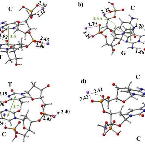The Mesp Of Deprotonated Nucleotides Namely Damp Dcmp Dgmp And Dtmp Download Scientific