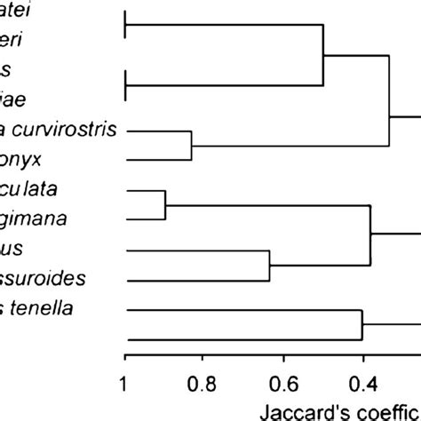 Dendrogram Upgma Illustrating Species R Mode Derived From Monthly