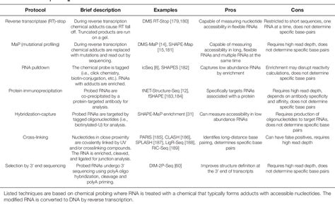 Table 1 From How Does Precursor Rna Structure Influence Rna Processing And Gene Expression