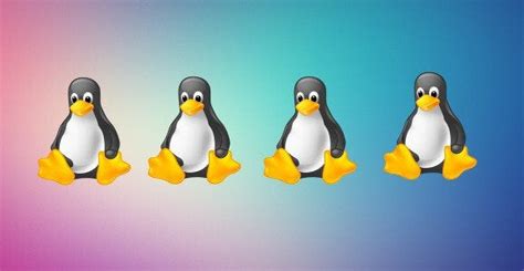 Ubuntu Home Server Couple Of Nooby Questions Rhomeserver