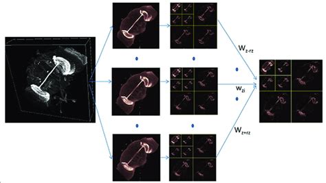 An Example Of Extracted Isotropic Wavelet Features From A 3d Neuronal