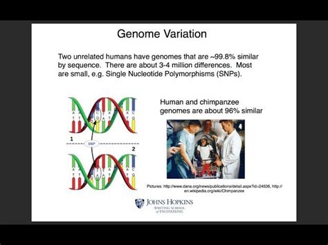 Free Video High Throughput Biology From Sequence To Networks From BioinformaticsDotCA