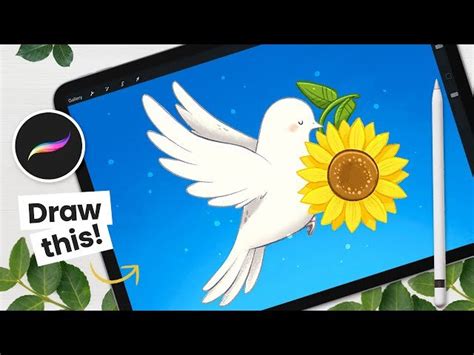 Free Video How To Draw A Sunflower Dove Procreate Tutorial From