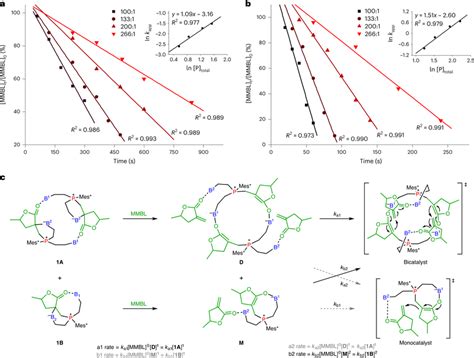Polymerization Kinetics And Possible Kinetic Scenarios For Mmbl
