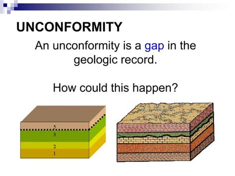 Fossils And Rock Layers Pptx Geology Science