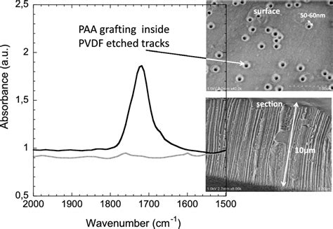 Ftir Spectra Of Track Etched Pvdf Membrane After 30 Min Of Etching In