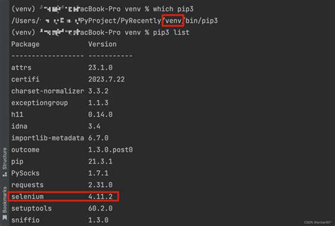 Pyhotn Mac安装selenium没有chromedriver 114以上及chromedriver无法挪到usrbin目录下的问题