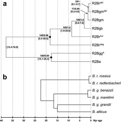 Bacillus R2 Elements Phylogeny A Dated Phylogeny Based On R2 Download Scientific Diagram