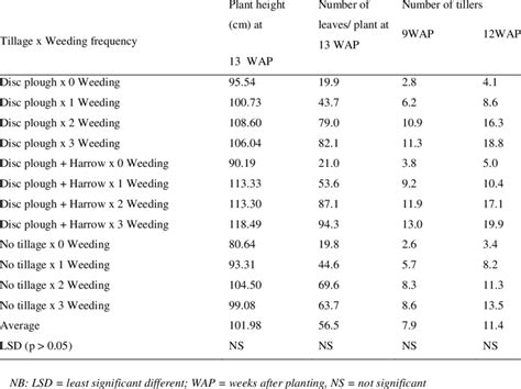 Interaction Between Tillage And Weeding Frequency On Nerica 4 Rice Growth Download Table