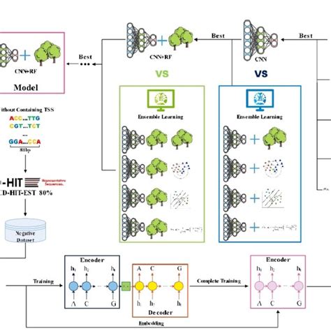 The Performance Comparison Of Six Models Based On The Auc Values