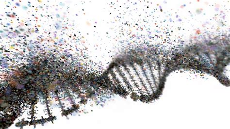 Fda Approves Novocure S Innovative Hfe Transducer Arrays For Use With Optune Gio® For