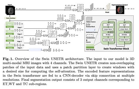 Researchers From Nvidia And Vanderbilt University Propose Swin Unetr A