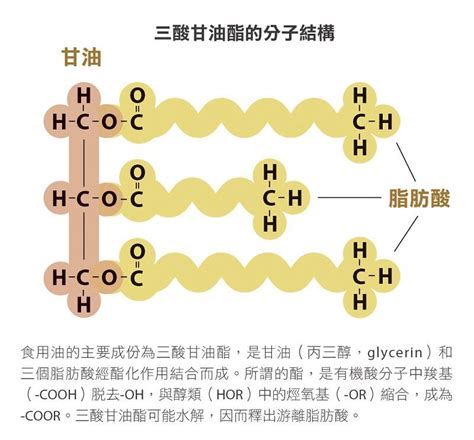 What Is Acid Value Of Oil Knowledge Ruian Every Machinery Co Ltd
