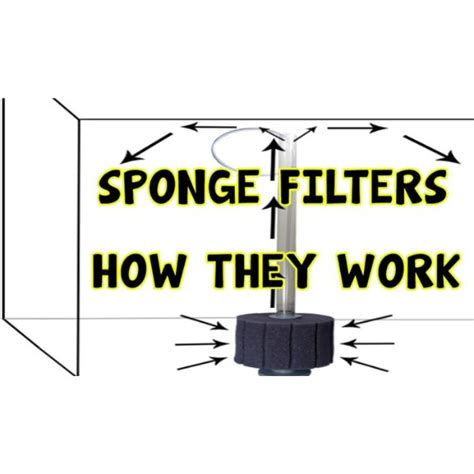 How Does A Sponge Filter Work
