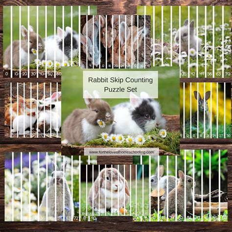 Rabbit Skip Counting Puzzle FTL Of Homebabeing