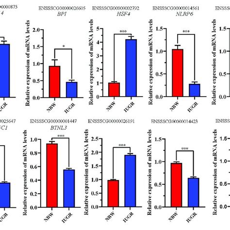 Reverse Transcriptase Quantitative Polymerase Chain Reaction Download Scientific Diagram