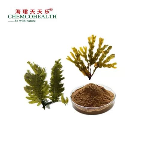 Natural Herbal Extract Multi Specification Fucoxanthin Brown Algae
