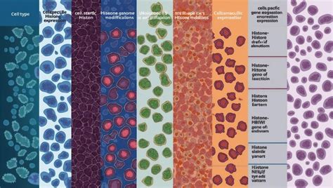 Vibrant Microscopic Images Showcasing Various Cell Structures And Patterns Premium Ai