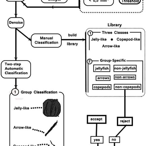 A Schematic Flow Chart Showing The Proposed Image Processing Procedure