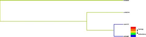 Dendrogram Analysis Of Snp Snp Interaction The Colors In The Tree Download Scientific Diagram