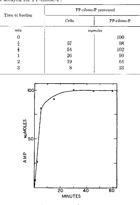 Figure 1 From Synthesis Of 5 Phosphoribosyl 1 Pyrophosphate From Glucose In Ehrlich Ascites