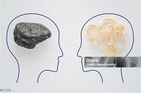 톱 밥 뇌 모양과 돌 두뇌 모양 두 사람의 머리 다른 생각을 가진 두 사람입니다 합리적이 고 비이 성적인 생각입니다 아이디어와 팀워크입니다 2명에 대한 스톡 사진 및 기타
