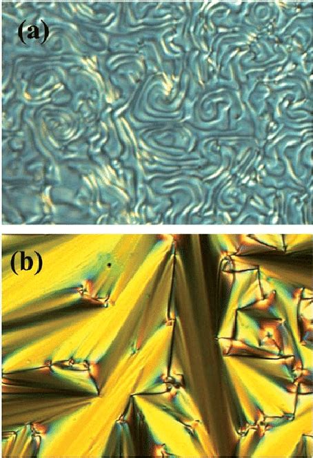 Photomicrographs Of A The Planar Fingerprint Texture Of The N Phase Download Scientific