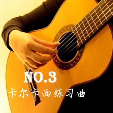 卡尔卡西25首练习曲吉他谱 马蒂奥卡尔卡西 Carcassi Matteo 免费浏览 GTP格式在线播放 精品吉他谱