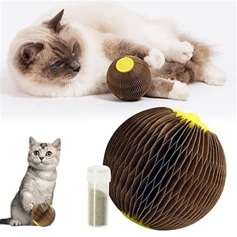 Kratzkugel Für Katzen Die 15 Besten Produkte Im Vergleich