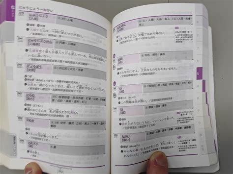 N2 日檢必背單字 袖珍本 精修重音版 新制對應 絕對合格 日本語 日語 日文 Japanese Essential Words Vocabulary Learning Jlpt 中上級