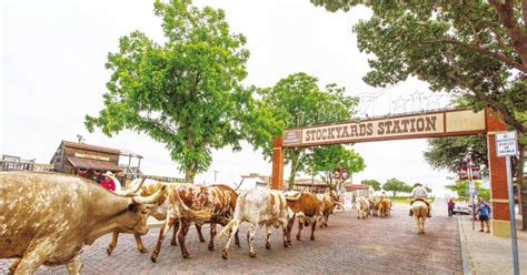 텍사스②카우보이들의 고향 포트워스 Fort Worth