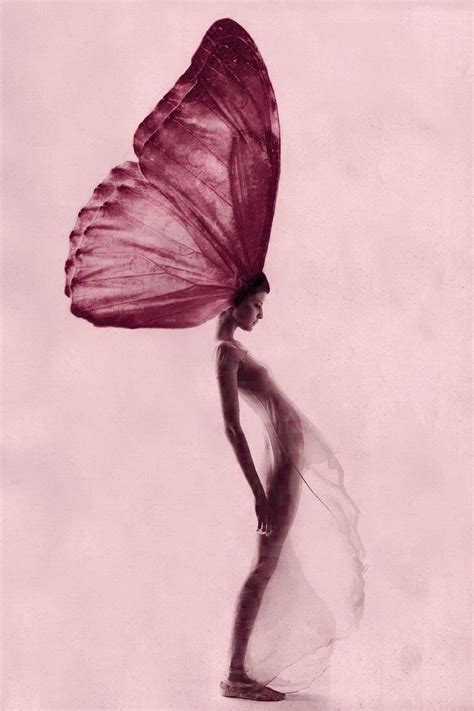 Metamorphosis Giovanni Gastel Metamorphosis Art Metamorphosis Art Representing Growth Metamorphosis Giovanni Gastel Metamorphosis Art Metamorphosis Art Representing Growth