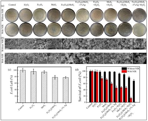 Nanozyme Platforms For Antibacterial Applications Encyclopedia Mdpi