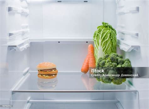 빈 냉장고에서 서로 마주치게 된 햄버거와 신선한 채소 건강한 음식과 정크 푸드 중 선택 0명에 대한 스톡 사진 및 기타 이미지 0명 건강한 식생활 고기 Istock