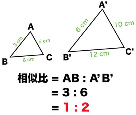 Tomo